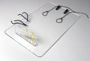 VSP Miami Vise Avian Restraint | Veterinary Specialty Products