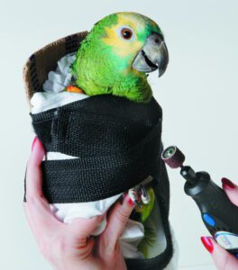 Avian Restraint Jacket | Veterinary Specialty Products